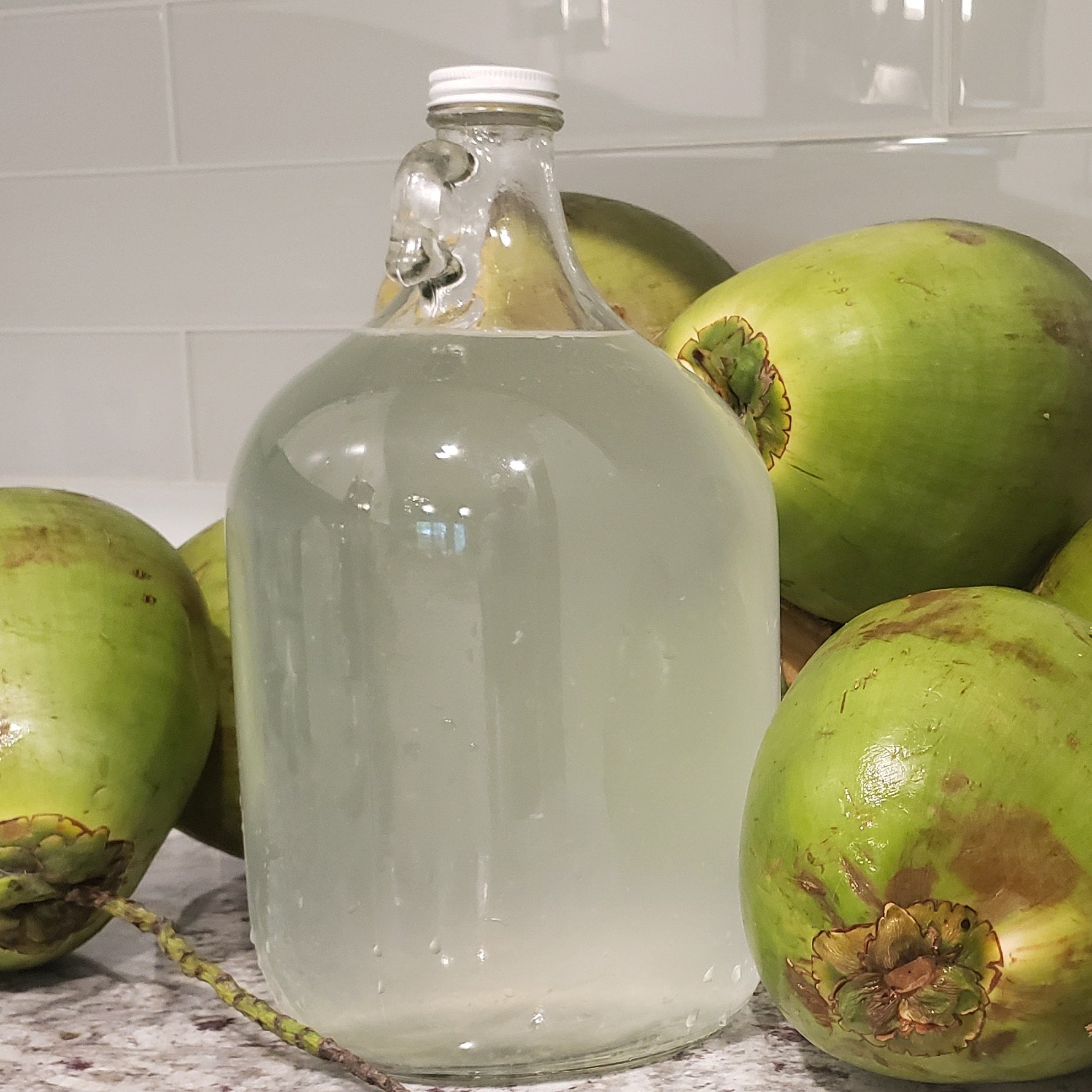 Order Here | CANE & COCONUT